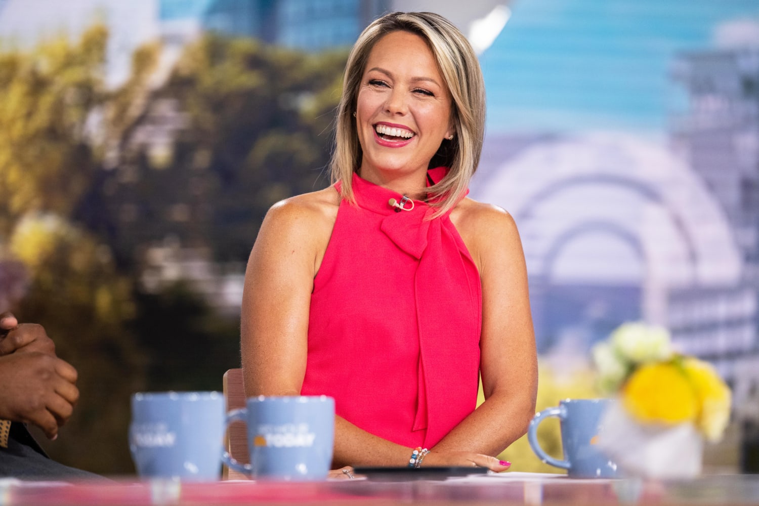 This week, Dylan Dreyer, who is typically cool, calm, and collected, revealed some sad news to ...
