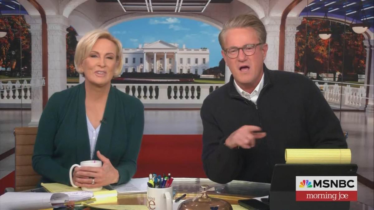 The former husband of MSNBC’s Morning Joe co-host Mika Brzezinski delivers a surprising critique ...