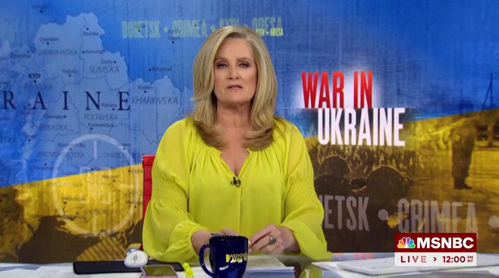 MSNBC's Alex Witt admits she was "physically nauseated" following her ...